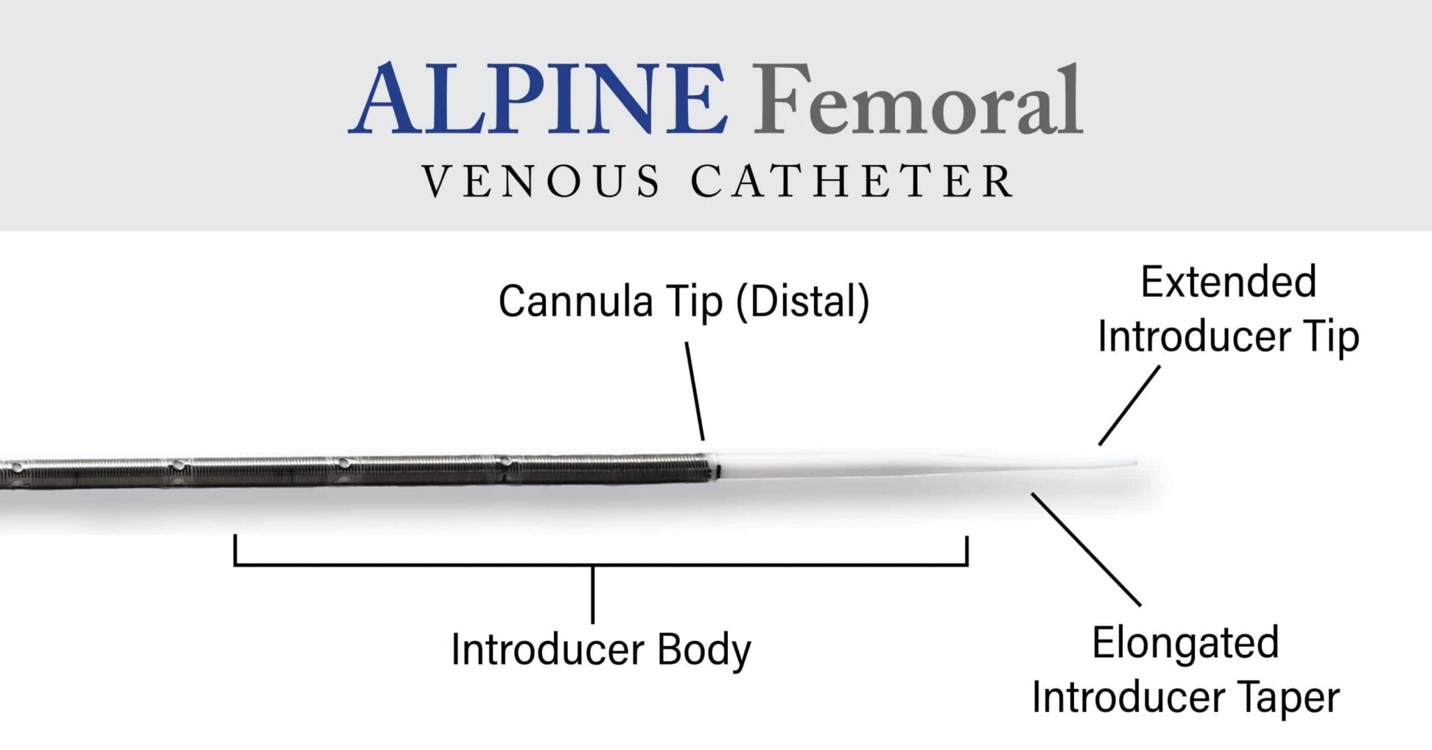 Alpine Femoral Venous Cannula: Best-in-Class Insertion - Med Alliance ...